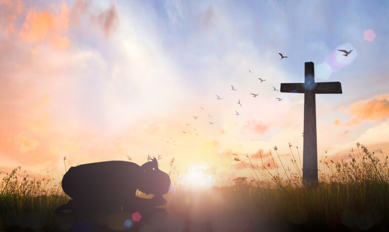 Proverbs 14:26-27 Fear of The Lord | If I Walked With Jesus